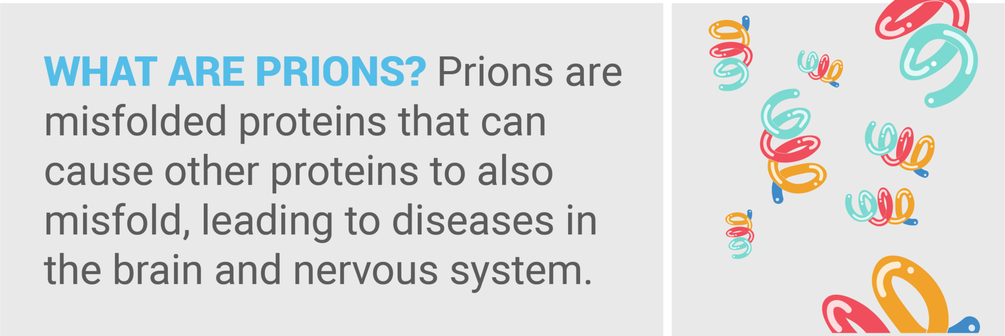 Prions - Quip Labs